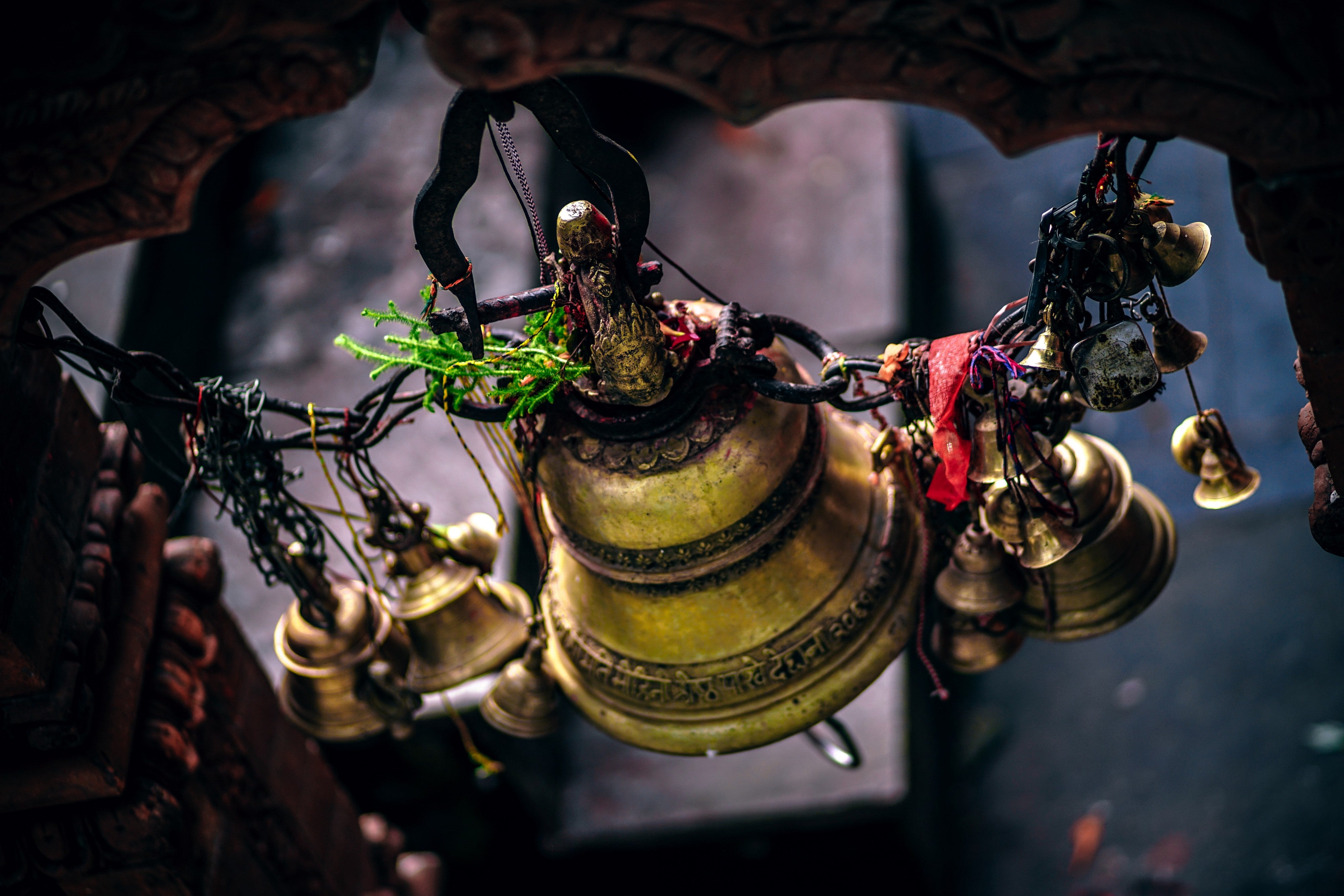 Collections – Tree Of Life Shoppe